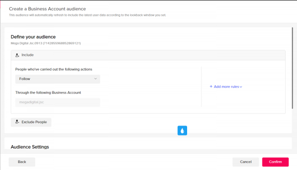 TikTok Custom Audience: What It Is, Benefits & Setup Guide