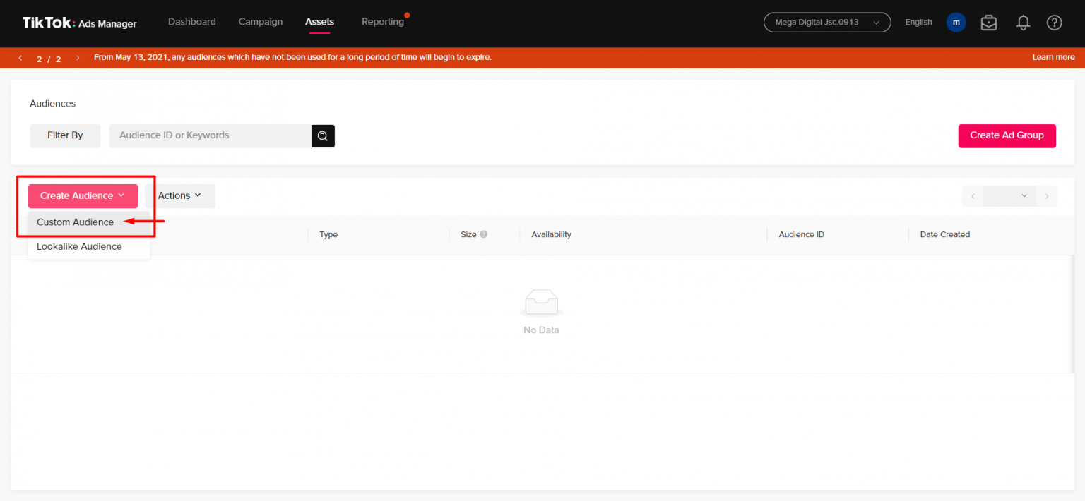 TikTok Custom Audience: What It Is, Benefits & Setup Guide
