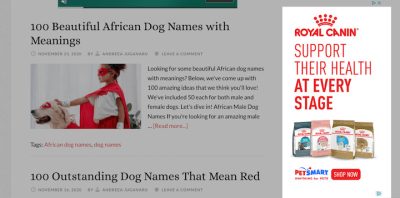 A Complete Guide to Google Display Ads & Best Practices 2025