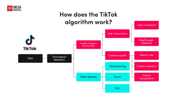 What is TikTok Algorithm? How It Works & Tips to Beat in 2026