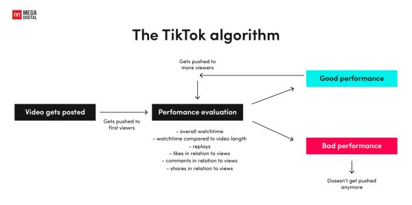 What is TikTok Algorithm? How It Works & Tips to Beat in 2025