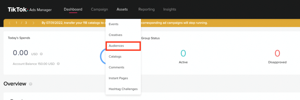 TikTok Custom Audience: What It Is, Benefits & Setup Guide