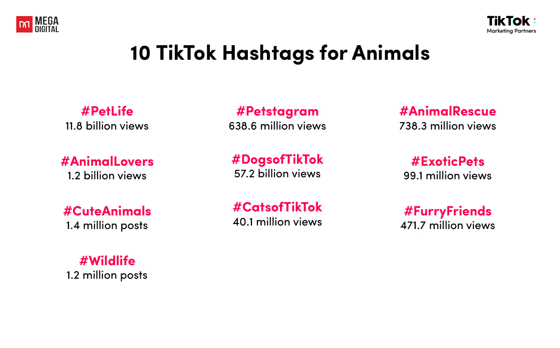 Best TikTok Hashtags to Skyrocket Your Video Views [2025]